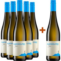 Winzergenossenschaft Herxheim am Berg 5+1 Paket BLANC - alkoholfrei Cuv&eacute;e Lieblich Pfalz &ndash; Probierpaket Entalkoholisierter Wein