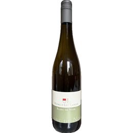 Weingut Leo Langer Sp&auml;tburgunder 2024 Trocken - Franken &ndash; Blanc de Noir Qualit&auml;tswein