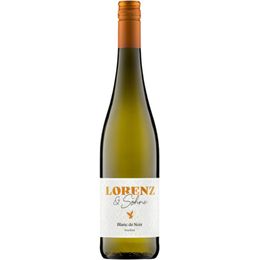 Weingut Lorenz und S&ouml;hne Weingut Lorenz und S&ouml;hne Merlot 2025 Trocken - Nahe &ndash; Blanc de Noir Qualit&auml;tswein