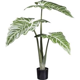 K&uuml;nstliche Pflanze Colocasia White Lava, Kunststofftopf, H&ouml;he 1300 mm kaiserkraft