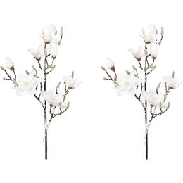 Magnolie, beschneit mit 15 LEDs, VE 2 Stk, Gesamth&ouml;he 1150 mm kaiserkraft