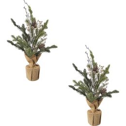 Tannen im Jutesack, 2 St&uuml;ck, mit Beeren und Zapfen, H&ouml;he 45 cm kaiserkraft