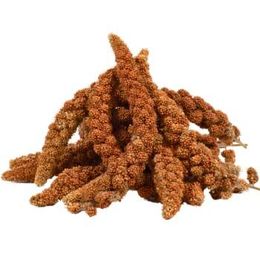 LYRA PET Kolbenhirse rot 1 kg
