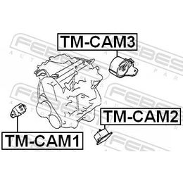 FEBEST Lagerung, Motor tmcam3 hinten f&uuml;r TOYOTA DAIHATSU