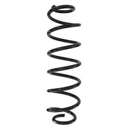 SPIDAN Fahrwerksfeder 87892 Hinterachse f&uuml;r VAG