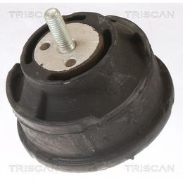 TRISCAN Lagerung, Motor 850511101 f&uuml;r BMW