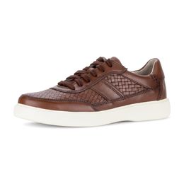 Sneaker Pius Gabor, Herren, Gr. 9,5 (44), cognac used, Nappaleder, used, Schuhe Sneaker, Freizeitschuh, Halbschuh, Schn&uuml;rschuh im Used Look, Weite G