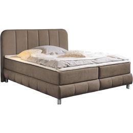 Boxbett Home Affaire, hellbraun, B:167cm L:207cm, Komplettbetten, Boxbett, inkl. Topper