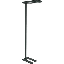 Maul LED-Standleuchte Mauljaval, dimmbar, schwarz