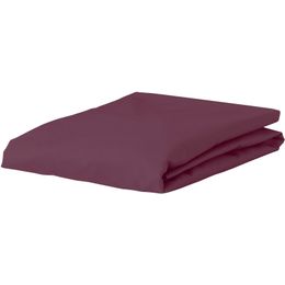 Spannbettlaken Esprit "SHEET", rot (dunkelrot), B:150cm L:200cm, Jersey-Elasthan, Obermaterial: 95% Baumwolle, 5% Elasthan, Bettlaken, Spannbettlaken, mit Gummizug