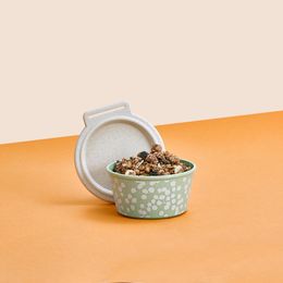 Koziol Blomster Box Schale mit Deckel 250 ml stapelbar / luftdicht / auslaufsicher nature leaf green dot - Sch&uuml;sseln & Schalen