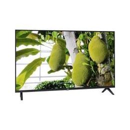 TCL 43V5C, QLED-Fernseher 108 cm (43 Zoll), schwarz, FullHD, Triple-Tuner, Smart TV