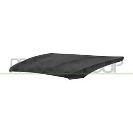 PRASCO Motorhaube bm1233130 f&uuml;r BMW