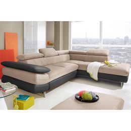 Ecksofa COTTA "Solution L-Form", schwarz (schwarz, schlamm), B:262cm H:73cm T:228cm, Sofas, Ecksofa, mit Arm- & Kopfteilverstellung, wahlweise mit Bettfunktion