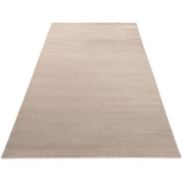 Teppich OCI DIE TEPPICHMARKE "Louvre Melange", grau (taupe), B:80cm H:13mm L:150cm, Kunstfaser, Teppiche, Teppich, Fris&eacute; Kurzflor, robust, Wohnzimmer