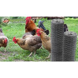 Aquagart 60m Sechseckgeflecht H&uuml;hnerzaun Kaninchendraht Hasengitter Hasendraht 100cm 25mm