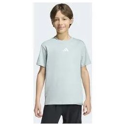 T-Shirt Adidas SPORTSWEAR "ESSENTIALS KIDS", Jungen, Gr. 164, wonder sage, wei&szlig;, Obermaterial: 100% Baumwolle, normal, Rundhals, Shirts T-Shirt, f&uuml;r Kinder, mit Rundhalsausschnitt, ohne Verschluss, pflegeleicht