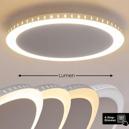 hofstein Aitrach Deckenleuchte LED Silber, 1-flammig