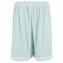Shorts Karl Kani "Karl Kani Small Varsity Logo Pinstripe Mesh Shorts", Herren, Gr. S, US-Gr&ouml;&szlig;en, turquoise, 100% Polyester, relaxed fit, Hosen Shorts