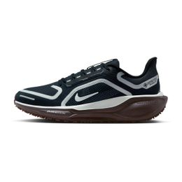 Nike Pegasus 41 GTX Damen