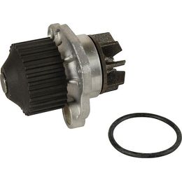 JP Group Wasserpumpe 4114102800 f&uuml;r Peugeot RENAULT