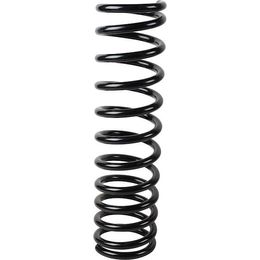 JP Group Fahrwerksfeder 1552204900 Hinterachse f&uuml;r Ford