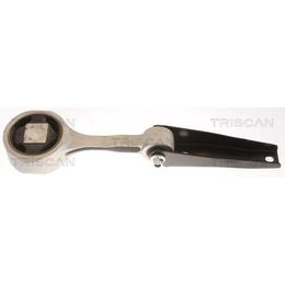 TRISCAN Lagerung, Motor 850529102 f&uuml;r VW