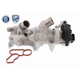 VAICO Wasserpumpe + Zahnriemensatz v1050114xxl f&uuml;r VW SEAT SKODA