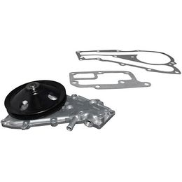 JP Group Wasserpumpe 4314100200 f&uuml;r RENAULT