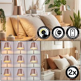 hofstein Salgadinho Tischleuchte 2-er Set LED Champagnerfarben, 1-flammig