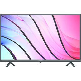 Strong LCD-LED Fernseher "32" HD TV SRT 32HF2003", Energieeffizienz: E (A-G), schwarz, 32 &Prime;, Fernseher, DVB-T2/C/S2