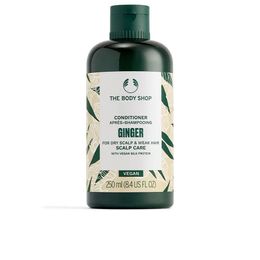 Body Shop Ginger Sp&uuml;lung 250 ml