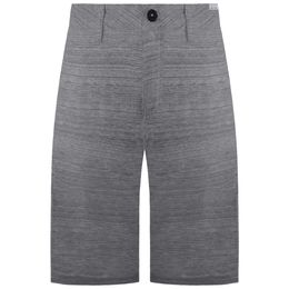 Quiksilver Platypus Amphibian Herren-Shorts in Grau