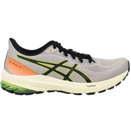 asics GT-1000 12 TR Herren Grau Laufschuhe