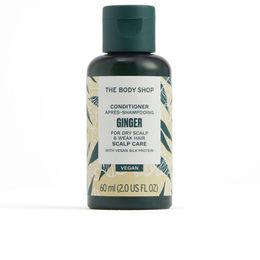 Body Shop Ginger Sp&uuml;lung 60 ml