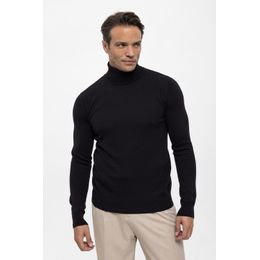 Pullover Rollkragenpullover