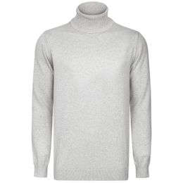 Pullover Rollkragenpullover