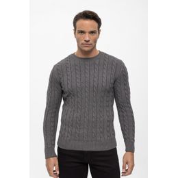 Pullover Pullover Mit Rundhalsausschnitt Aus Kabelstrick