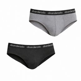2er-Pack Herren Elastische Baumwollslips AA595