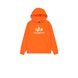 Alpha Industries Basic Big Logo Hoodie