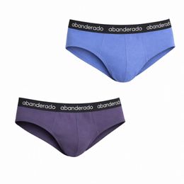 2er-Pack Herren elastische Baumwollslips AA595