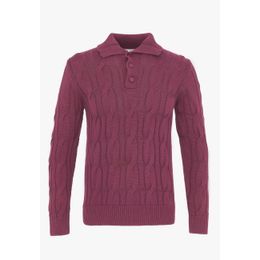Pullover Pullover Mit Polo-Kragen