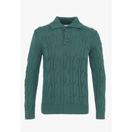 Pullover Pullover Mit Polo-Kragen