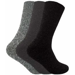 Sock Snob - Homme 3 Paires Bottes Chaussettes en 4 Couleurs - Bleu