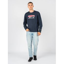 Tommy Hilfiger Tommy Jeans Pullover Herren Blau