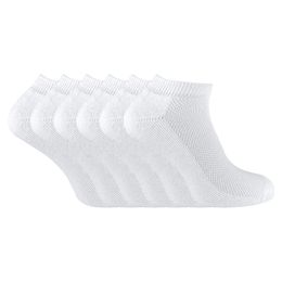 Socken Snob - 6er Pack Damen Low Cut Bambus Bio-Baumwolle Trainer Socken