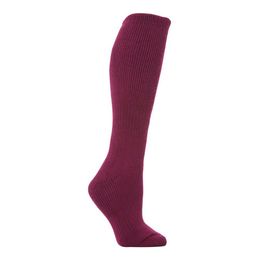 Extra lange Thermo-Socken f&uuml;r Damen in Cerise und Wein von Heat Holders