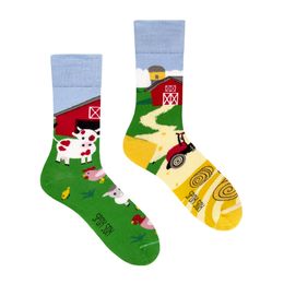SPOX SOX Herren & Damen Mismatched Neuheit Odd Socken Farm