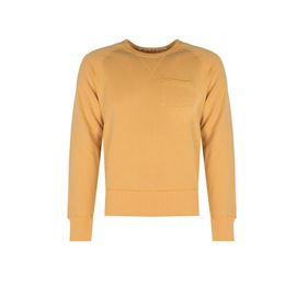 Champion Sweatshirt Herren Gelb