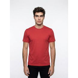 T-Shirt DESOTO "Jersey T-Shirt Rundhalsausschnitt halbarm", Herren, Gr. L, solid rot, Jersey, Obermaterial: 100% Baumwolle, slim fit normal, Rundhals, eingesetzt abgesteppte Kante, Shirts T-Shirt, Mit Rundhalsausschnitt, Strech-Qualit&auml;t